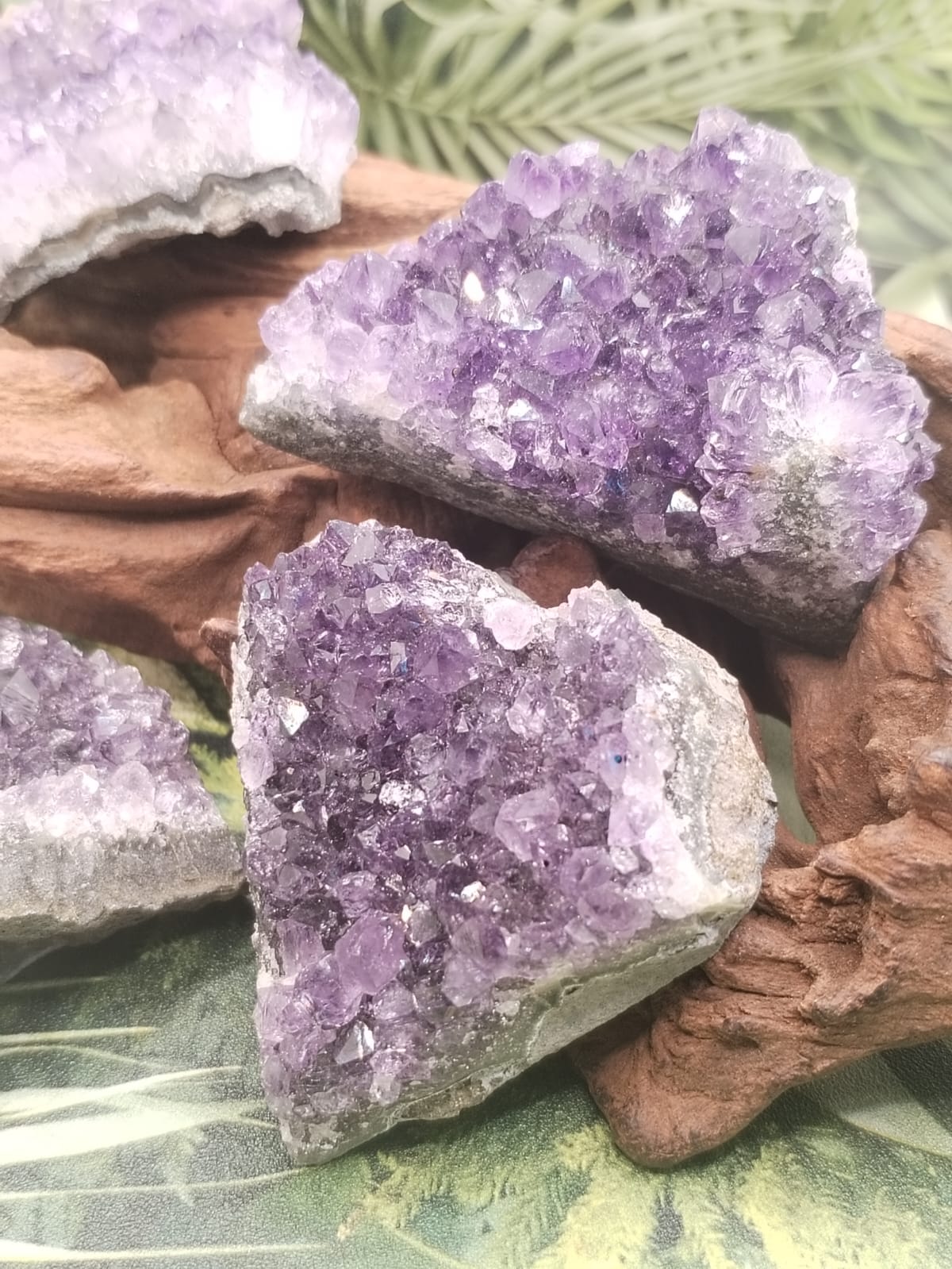 Piuma Rosa - Cristalli Energizzati